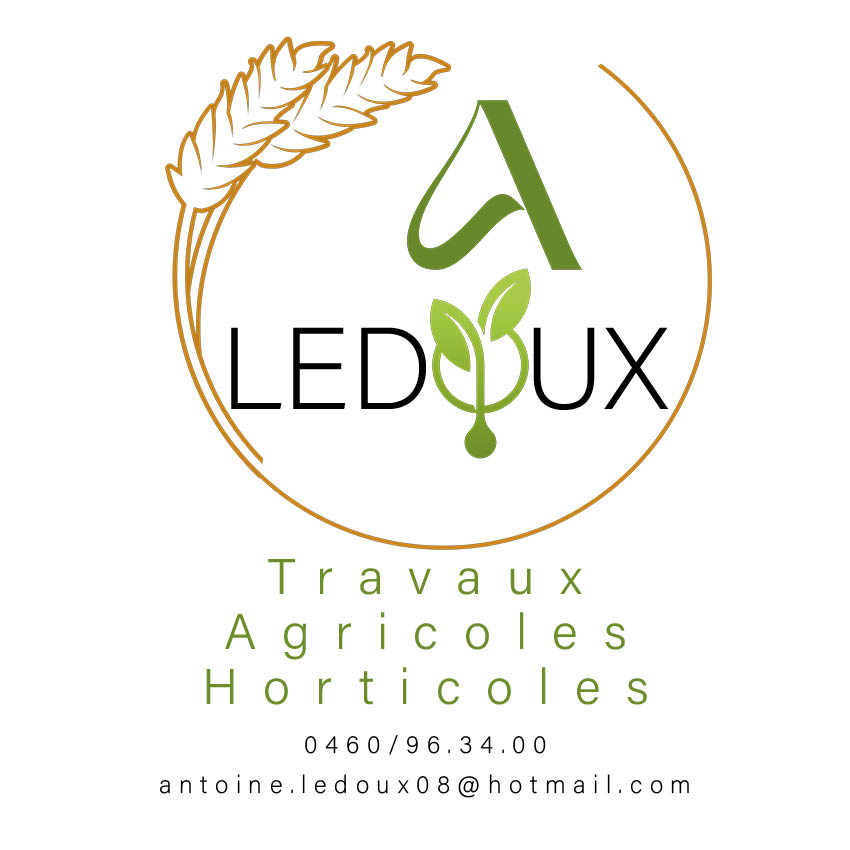 Identité visuelle - CinDesigner