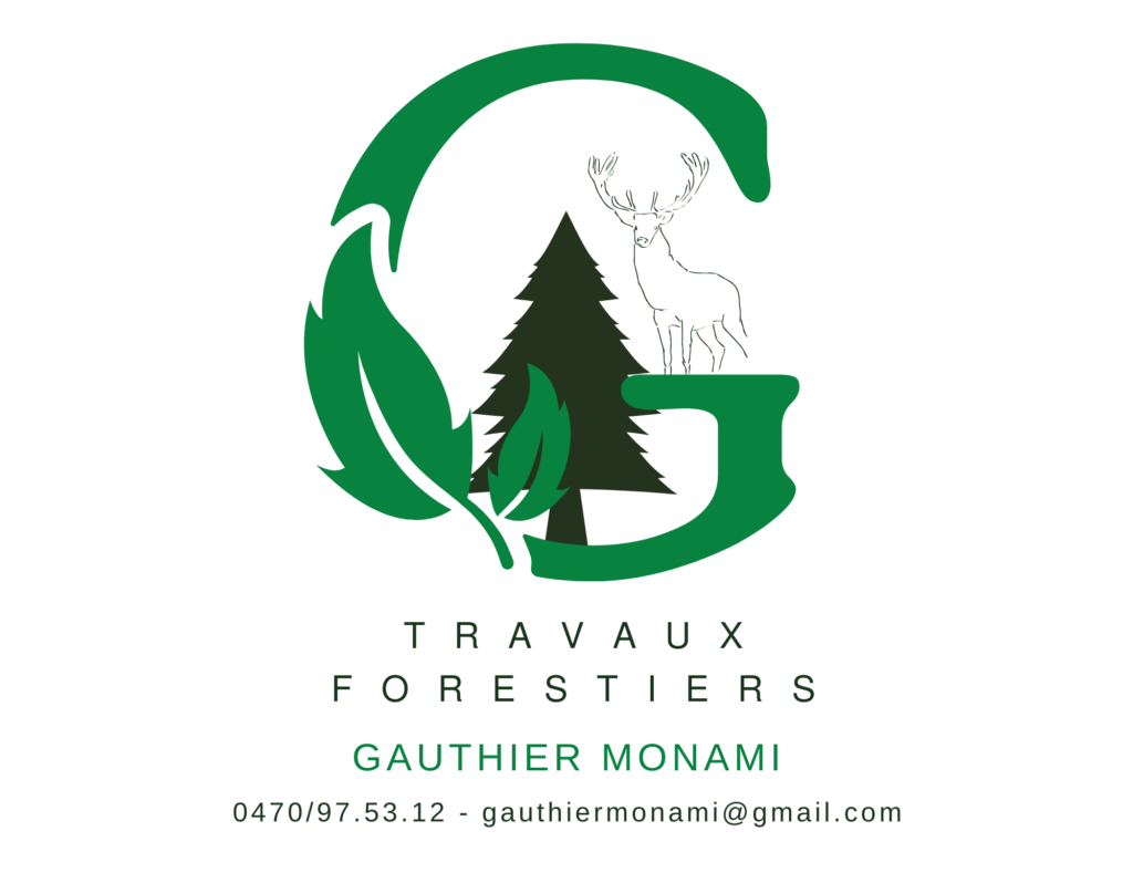 Identité visuelle - CinDesigner